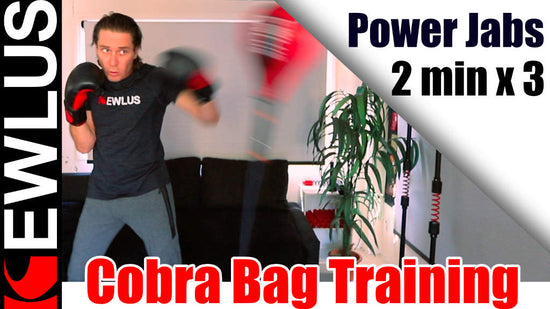 Kewlus, World's First Modular Cobra Bag